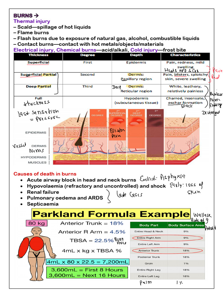 Surgery Race Session ANNOTATED Dr. Ashish | PDF | Thyroid | Breast Cancer
