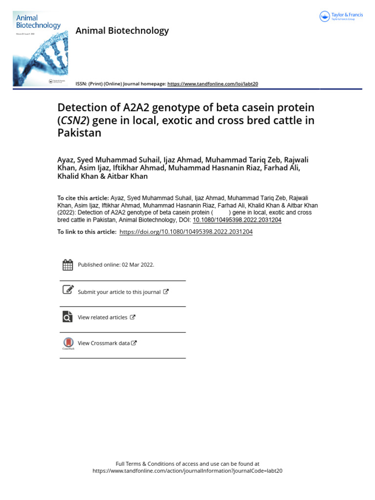 Detection of A2A2 Genotype of Beta Casein Protein CSN2 Gene in Local ...