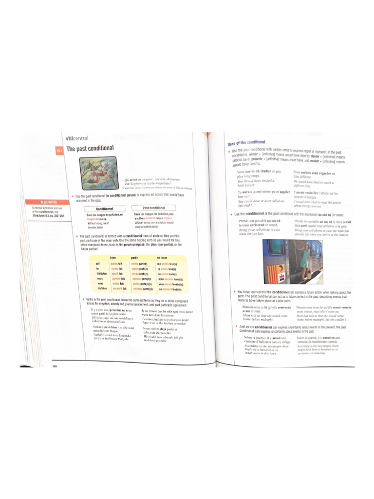 The Past Conditional | PDF