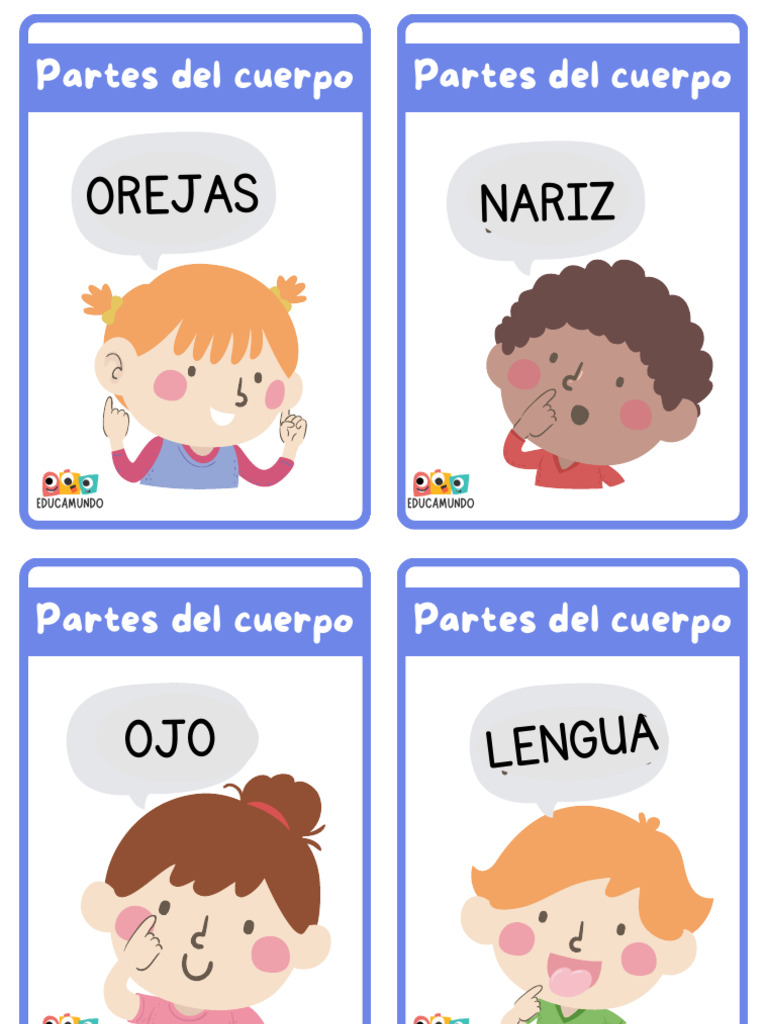 Fichas Para Aprender Las Partes Del Cuerpo Pdf