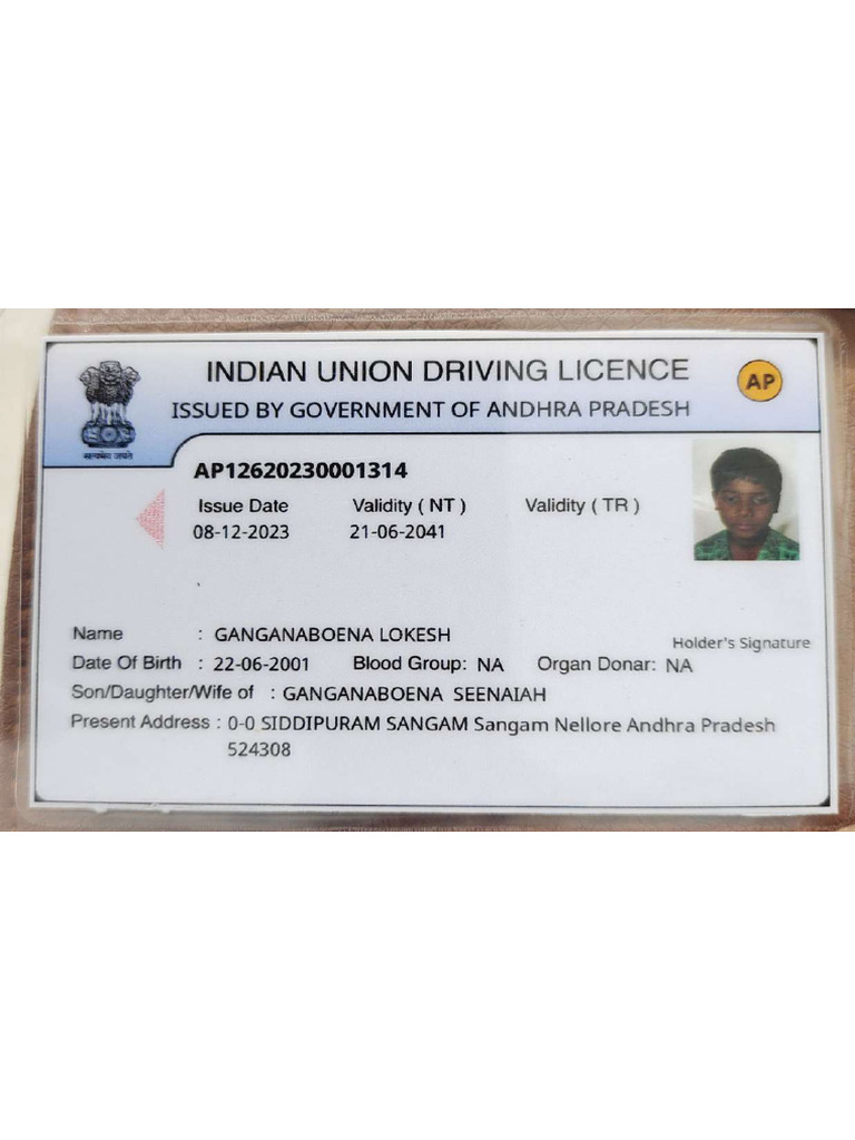 Driving License Fix | PDF