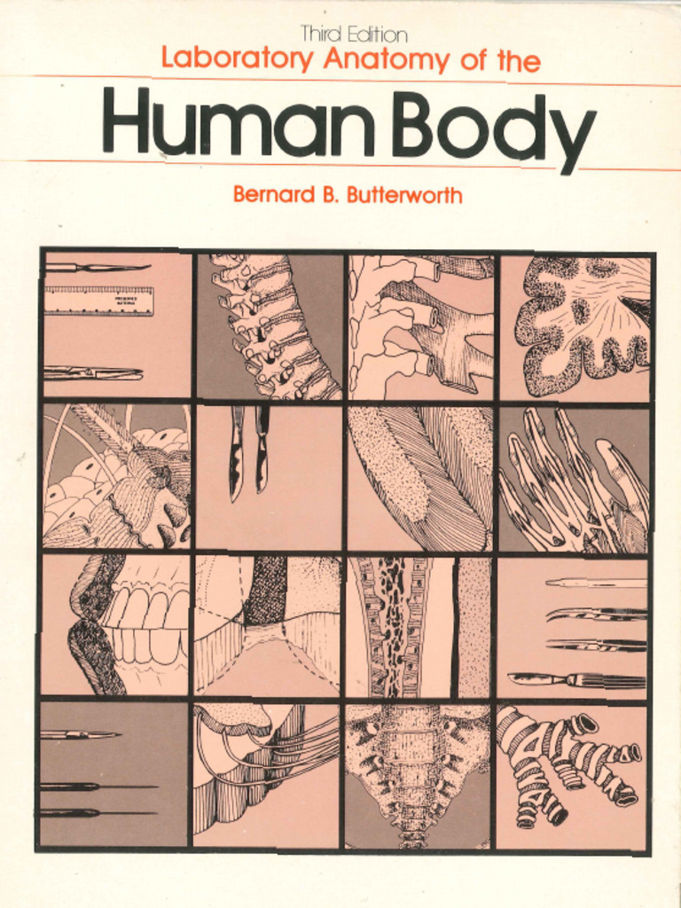 Human Bodya | PDF