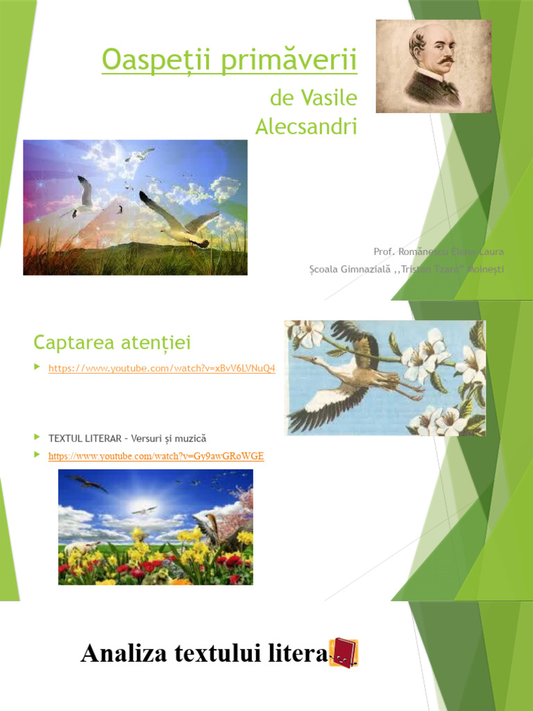 Oaspetii Primaverii | PDF