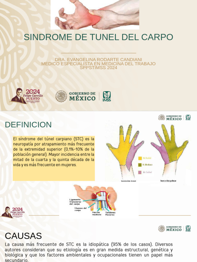 Síndrome del Túnel Carpiano: Causas y Tratamiento | PDF | Síndrome del ...