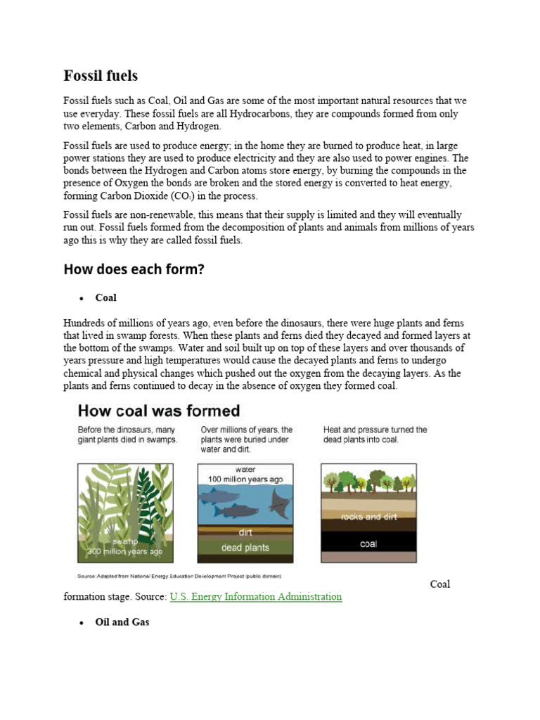 Fossil Fuels Fact Sheets | PDF | Fuels | Petroleum