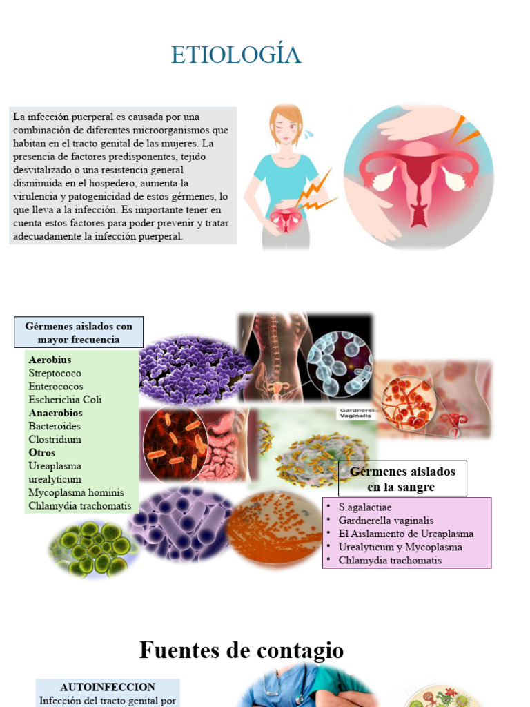 Causas y Clasificación de Infección Puerperal | PDF | Septicemia ...