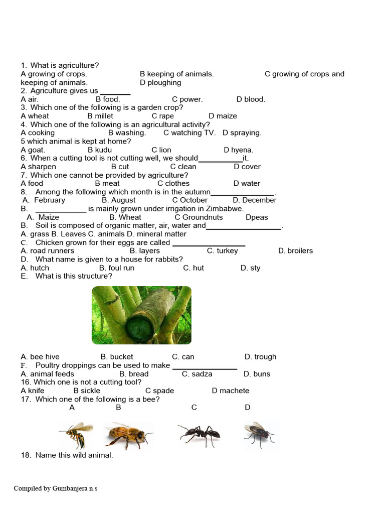 g3 Agric Scie and Tech Pjs Paper 1 2022 | PDF | Laptop | Agriculture