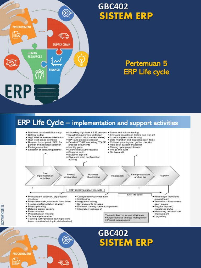 Panduan Implementasi ERP | PDF