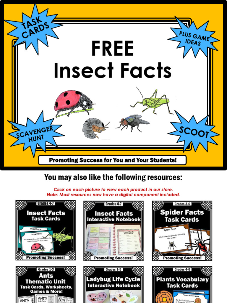 Free Insect Facts: Promoting Success For You and Your Students! | PDF ...