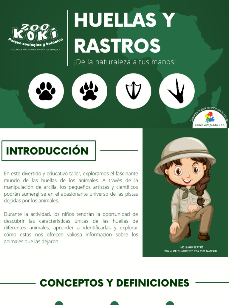 Taller de Huellas y Rastros | PDF | Aprendizaje | Creatividad