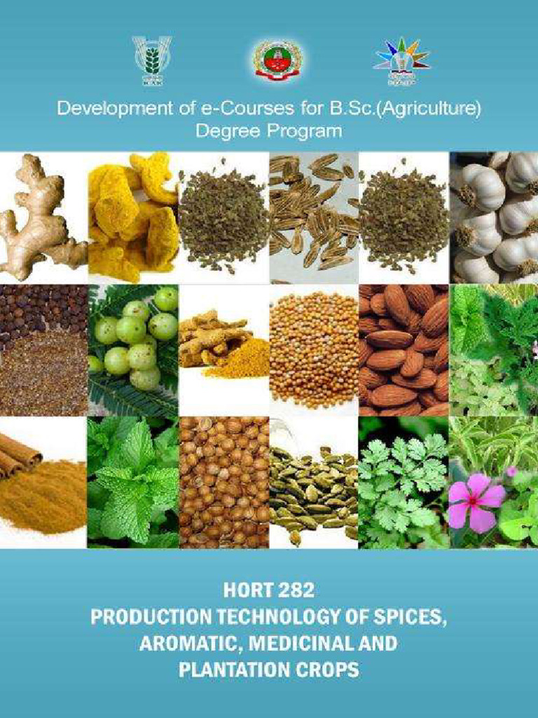 Production Technology | PDF