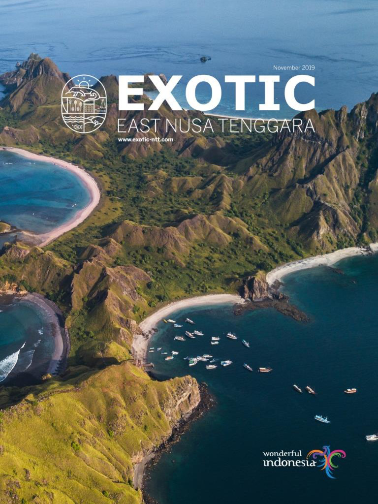 Exotic NTT | PDF