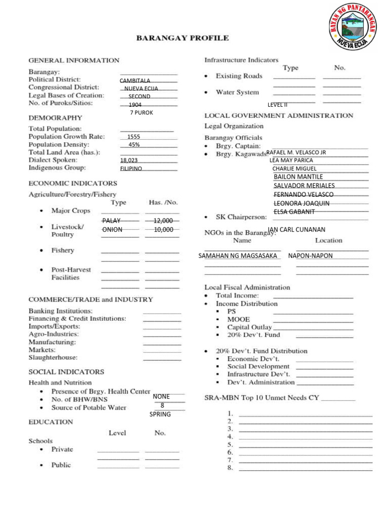 Brgy Profile | PDF