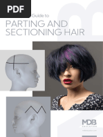 Pravana Chromasilk QuickStart Guide | PDF