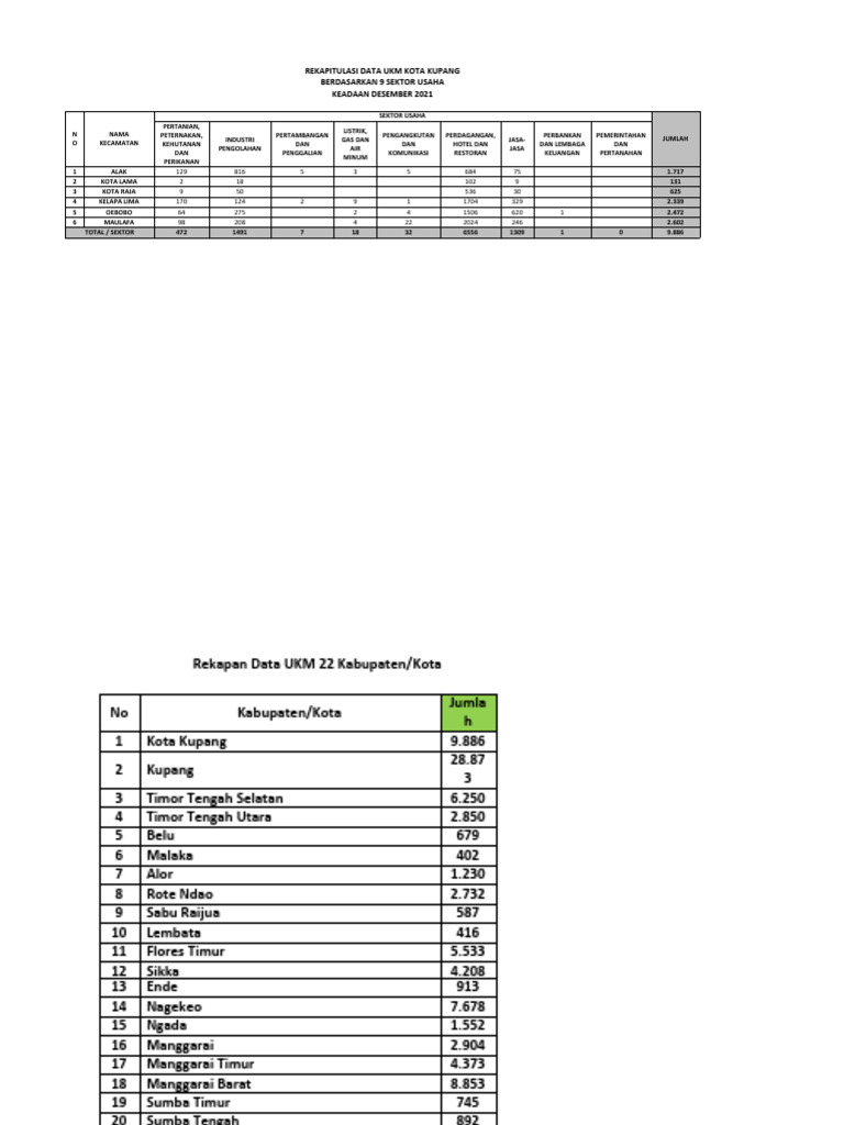 Rekapitulasi Data Ukm Kota Kupang | PDF