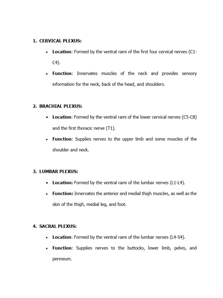 Different Plexus (Caldito) | PDF