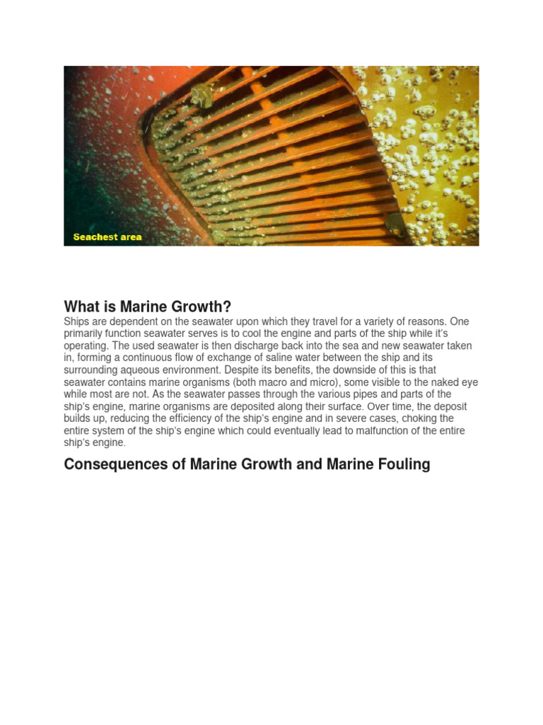 What Is Marine Growth PDF | PDF | Corrosion | Seawater