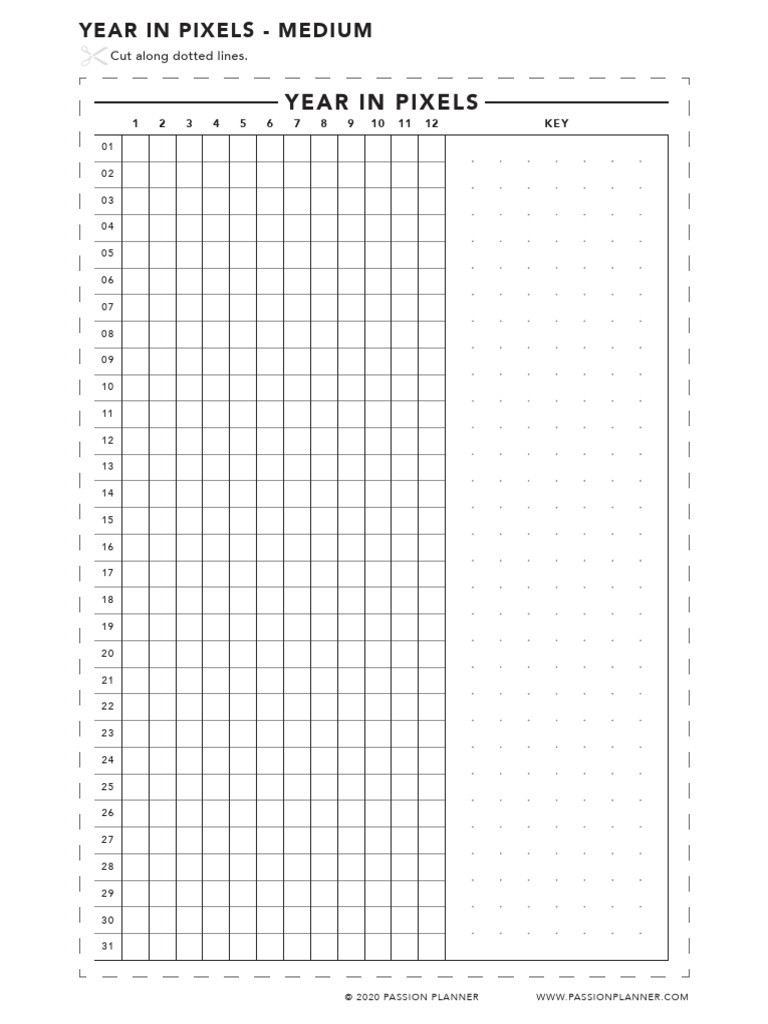 Year in Pixels Medium | PDF