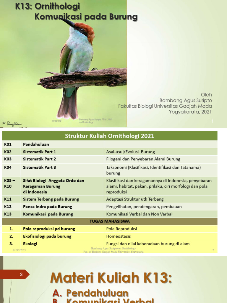 K13-Komunikasi Pada Burung - Bas2021 | PDF