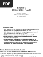 Ch-8 Transport in Plants | PDF | Root | Plant Stem