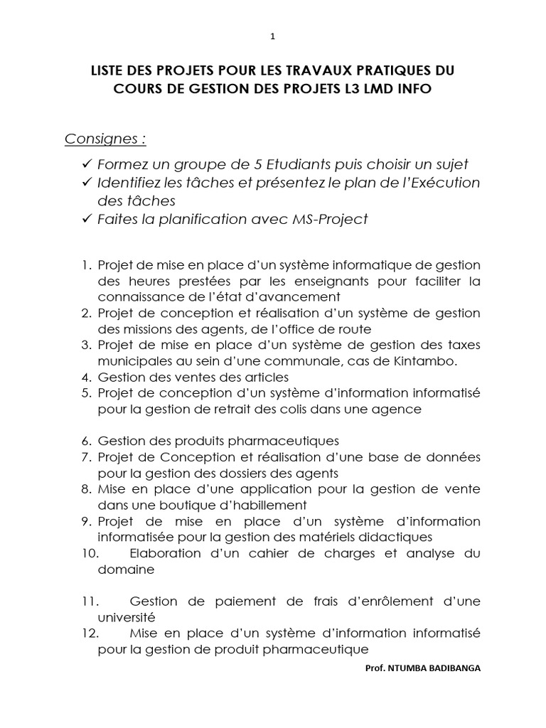Projets TFC en Informatique de Gestion | PDF | Application | Informatique