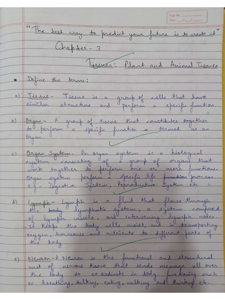 Chapter-3 Tissues Notes Class 9th | PDF