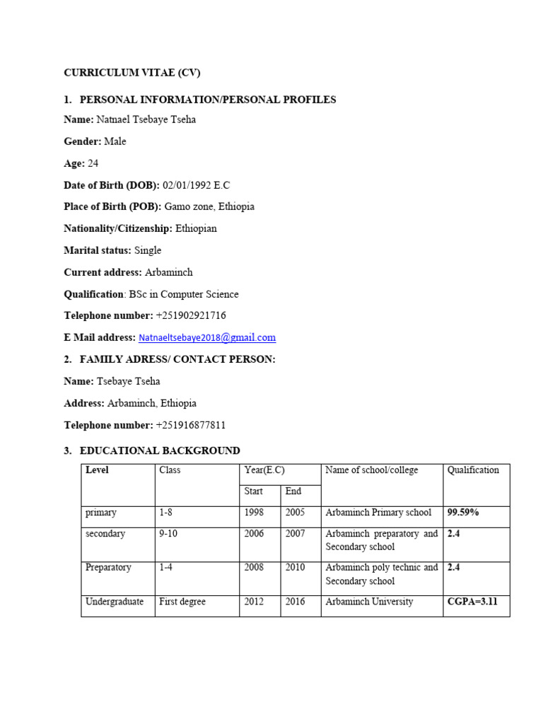 Natnael Tsebaye CV Word | PDF | Computing