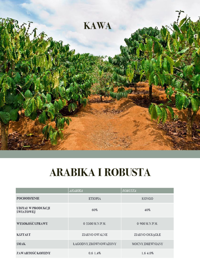 KAWA - Prezentacja Fonte-1 | PDF