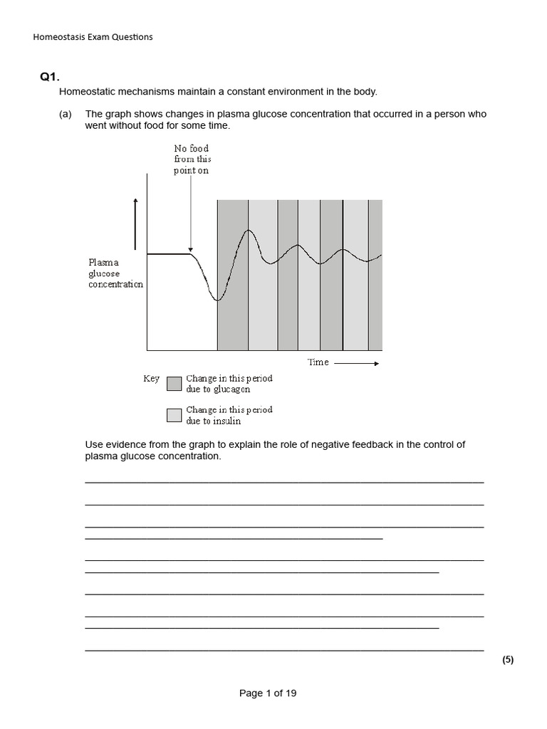 Homeostasis Exam Questions | PDF | Homeostasis | Interferon Gamma