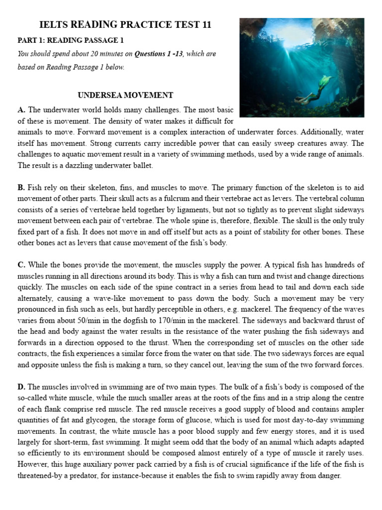IELTS Reading Practice Test 11 | PDF | Fin | Fish