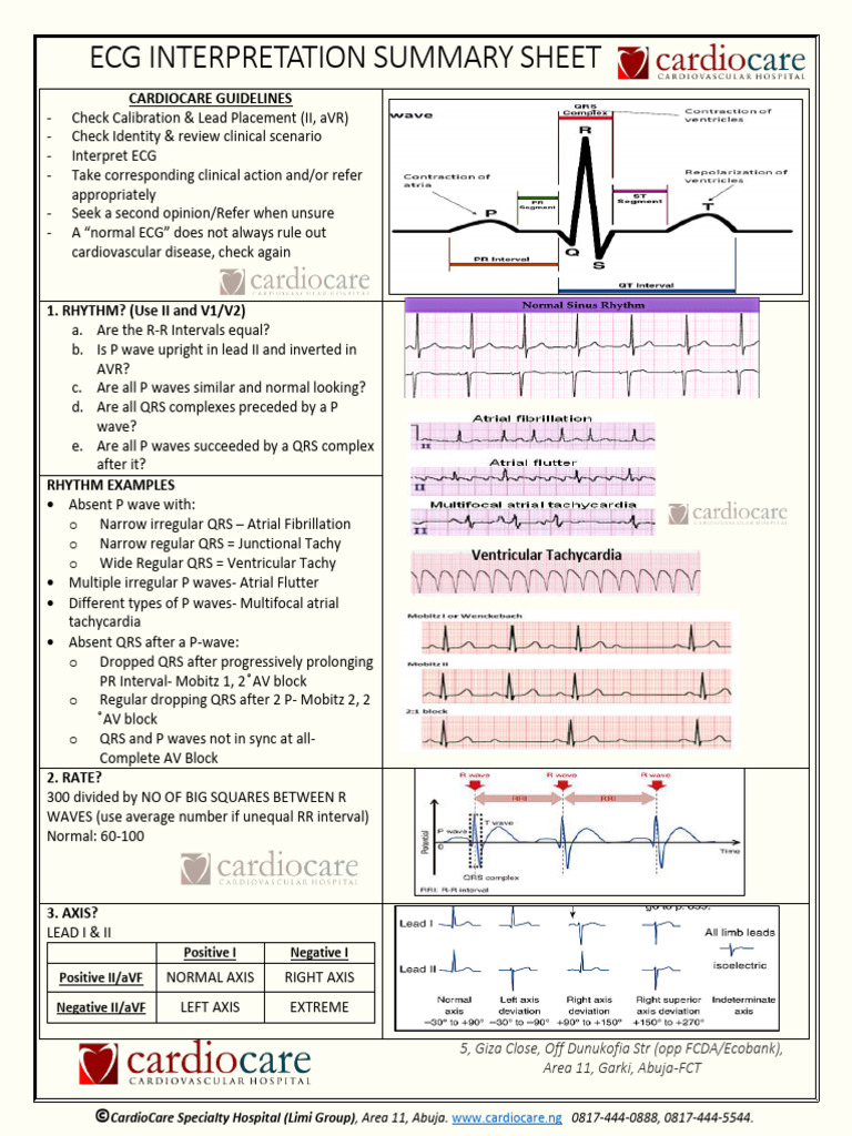 ECG Interpretation Guidelines Summary | PDF | Electrocardiography | Cardiovascular System