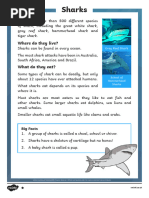 All About Sharks Reading Comprehension | PDF | Sharks | English As A ...