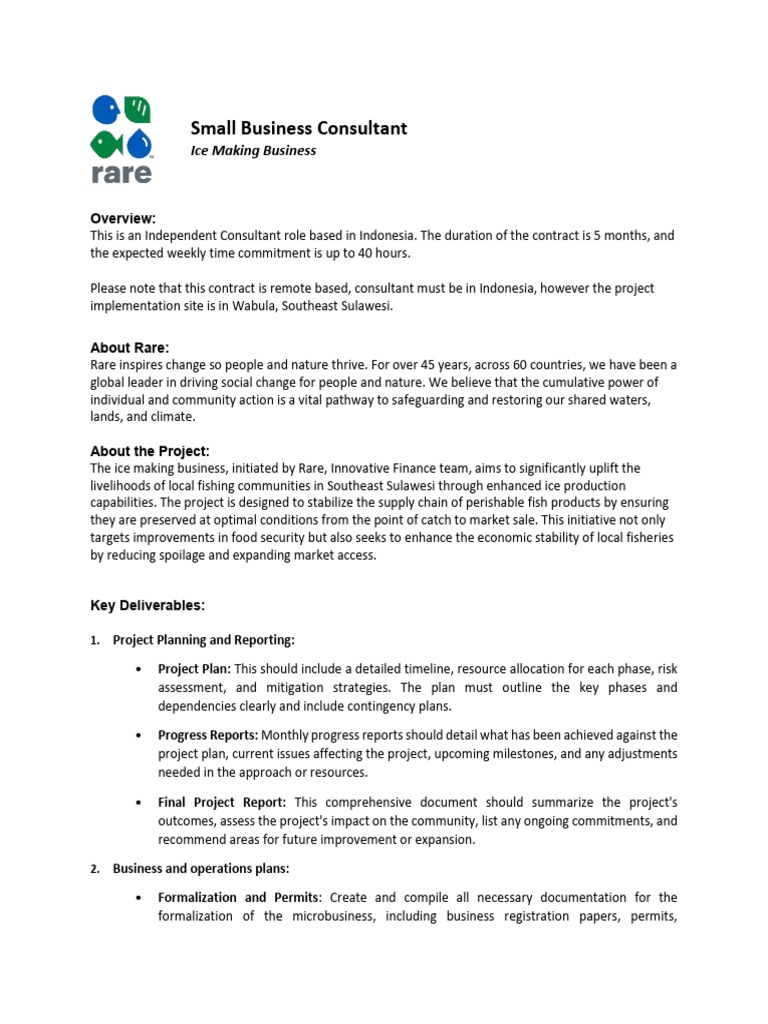 Small Business Consultant Ice Making Business Indonesia TOR | PDF | Sales | Business