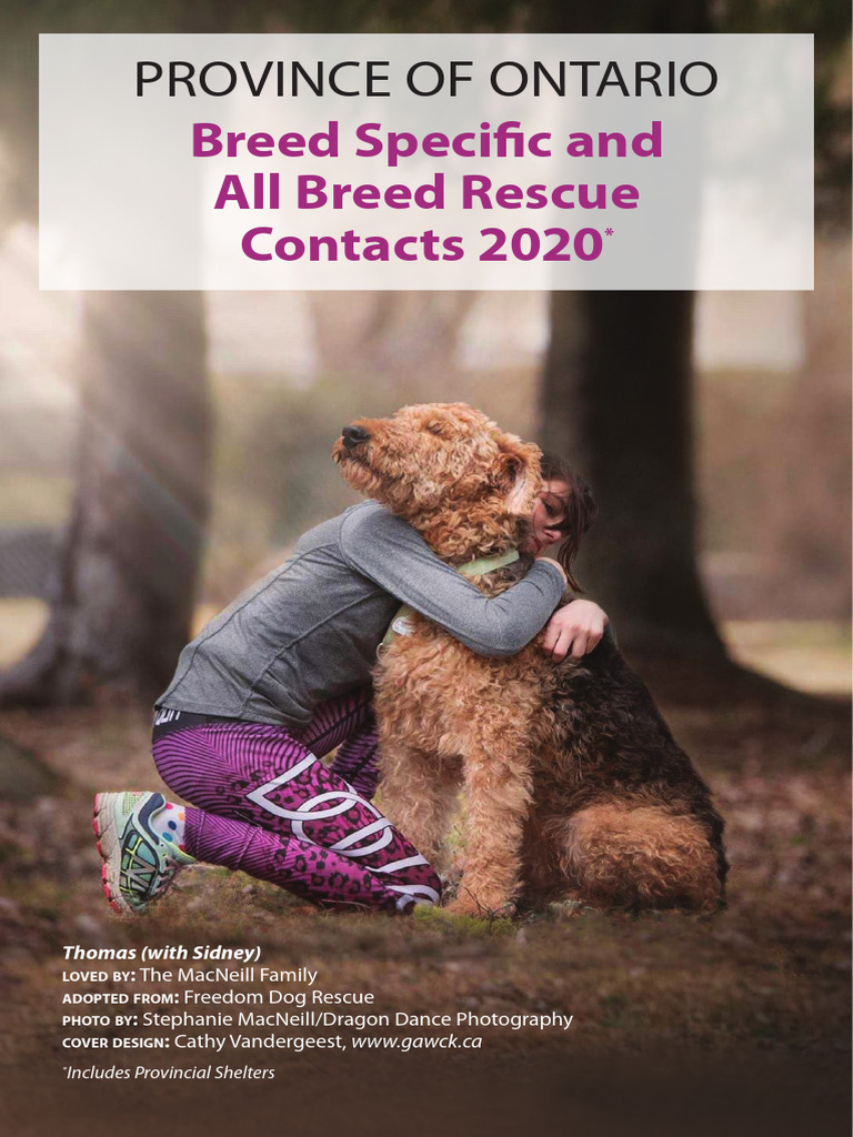 2020 Animal Rescue Directory - Ontario | PDF | Subspecies Of Canis ...