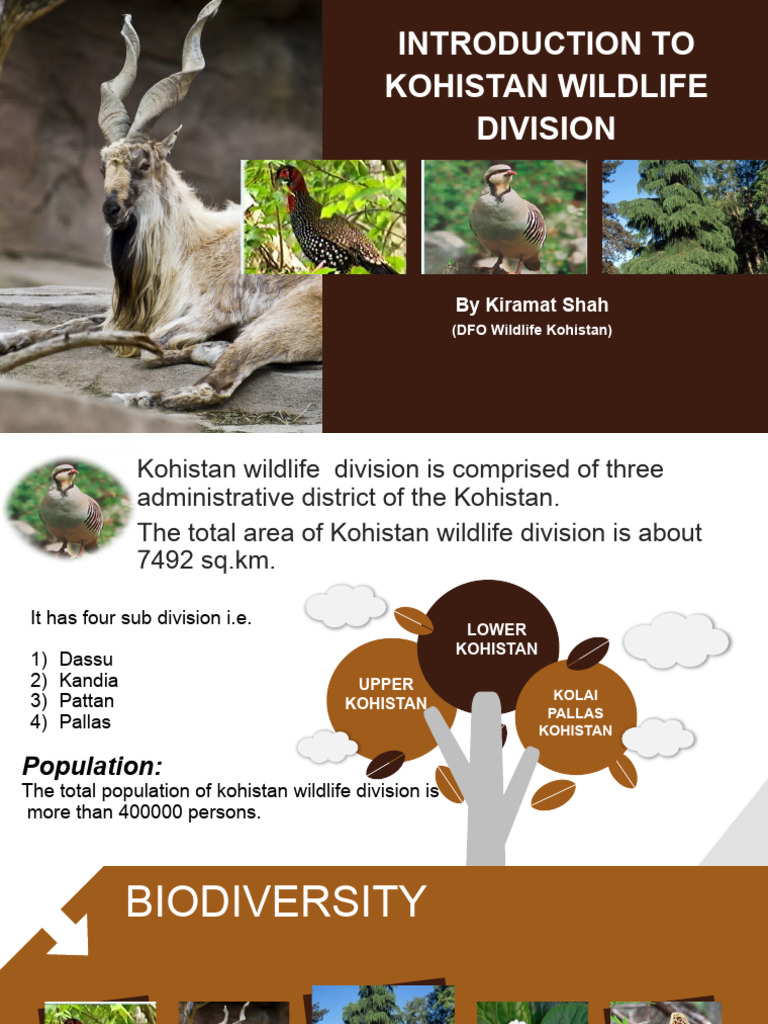 Kohistan Wildlife Division Overview | PDF | Conservation Biology ...