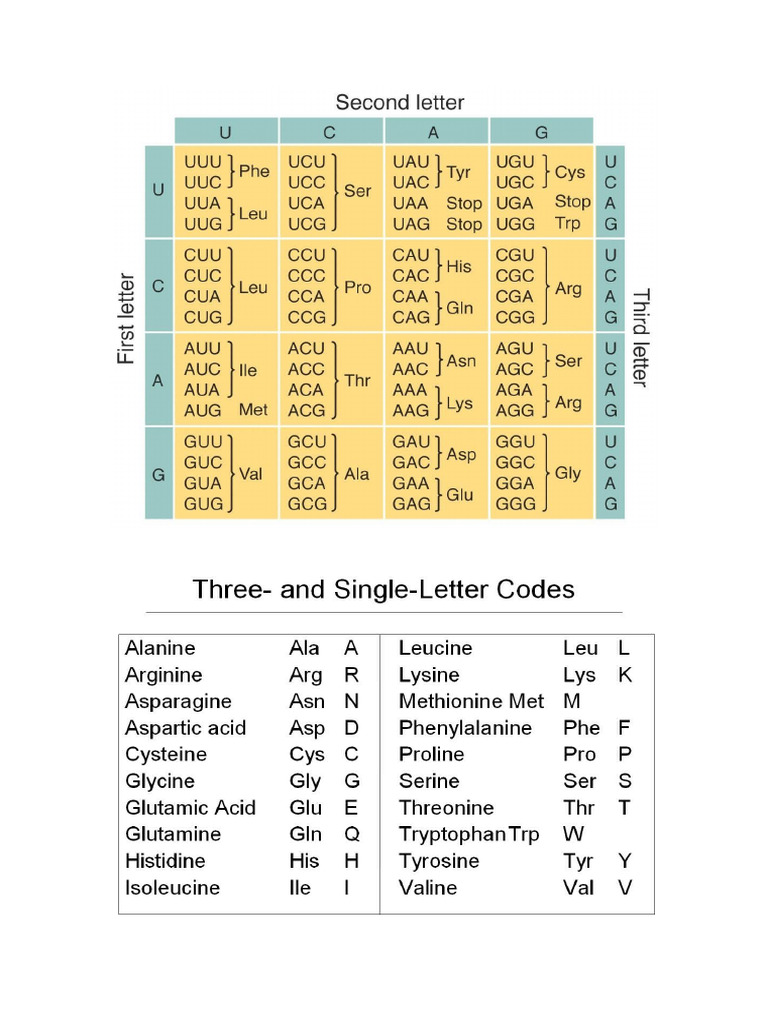 Codigo Genético | PDF