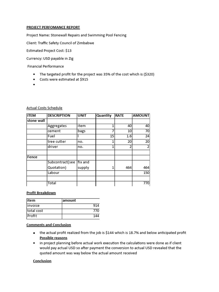 Project Perfomance Report | PDF