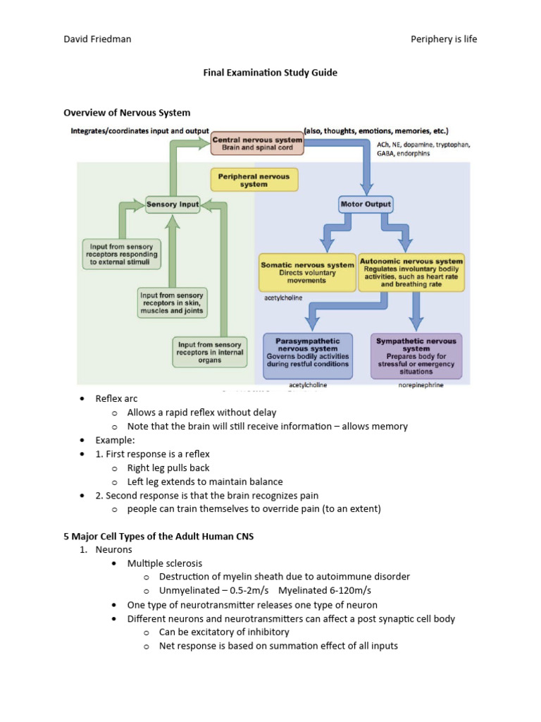 BIO1080 Final Exam Notes | PDF | Heart | Macrophage