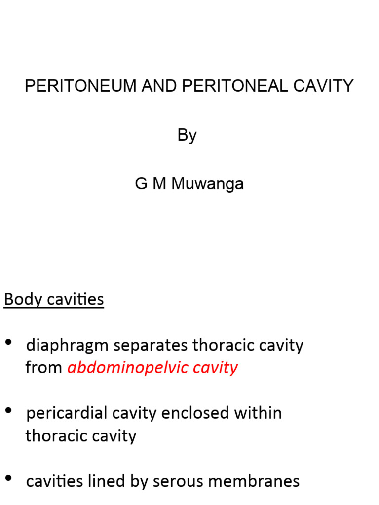 Peritoneum & Peritoneal Cavity Presentation | PDF | Peritoneum | Abdomen
