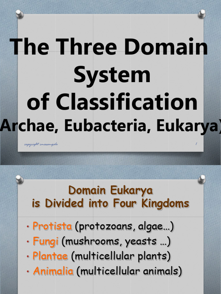 4.5.1 Three Domain Eubacteria PROTIST and FUNGI | PDF | Algae | Eukaryotes