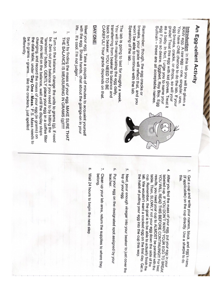 An Egg Cellent Activity Pdf