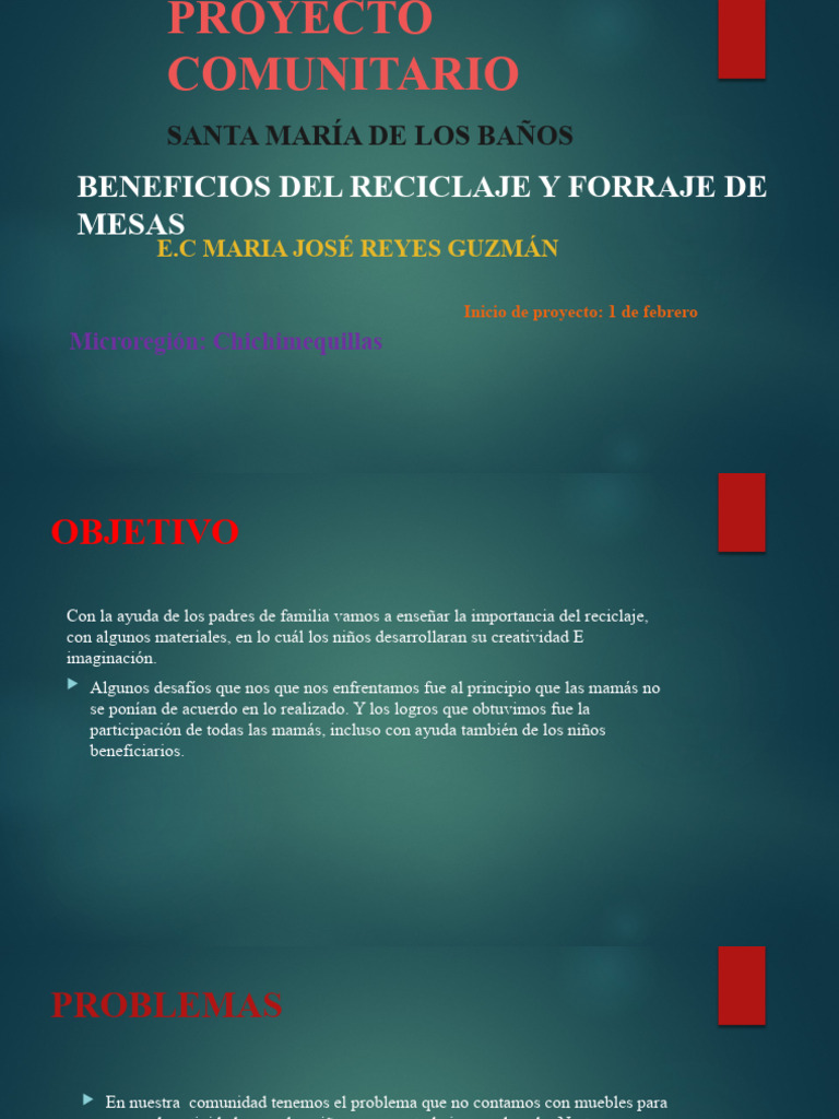 Proyecto Comunitario | PDF