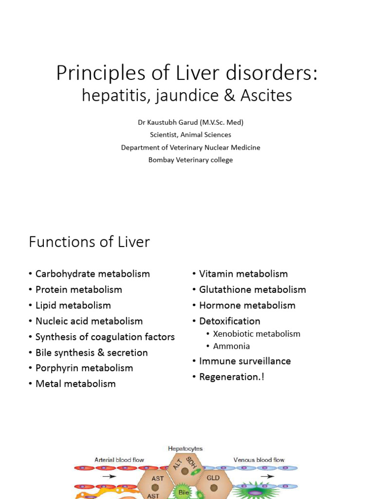 Lect 15 - Principles of Liver Disorders, Hepatitis, Jaundice | PDF | Liver | Hepatitis