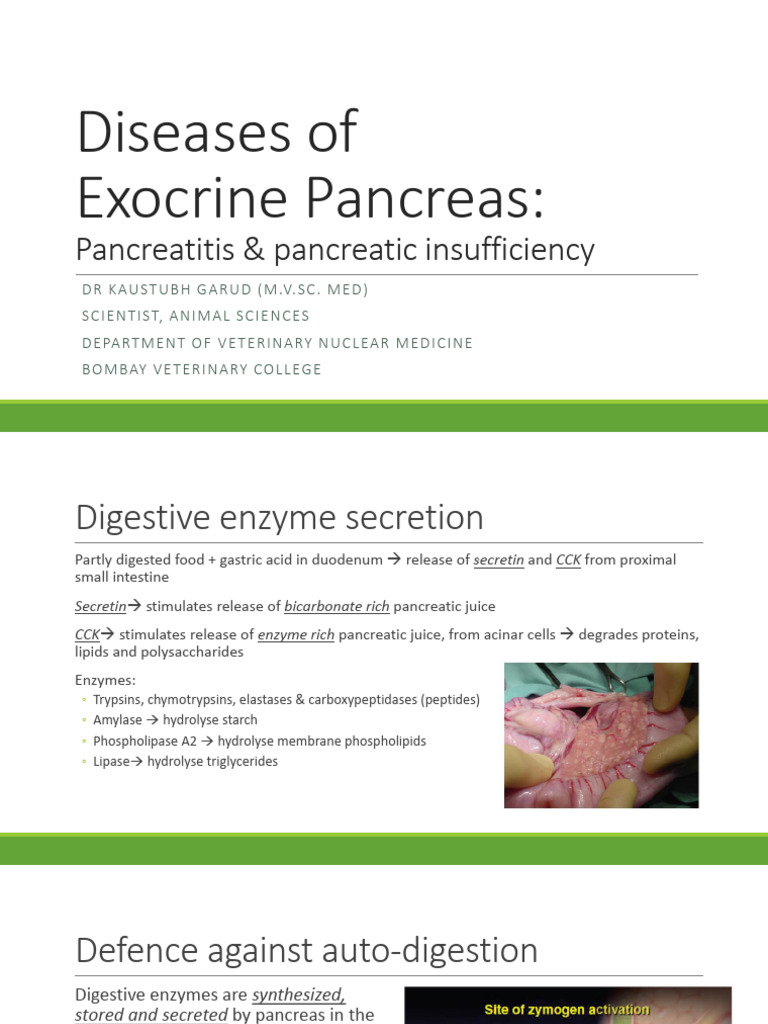 Lect 13 - Diseases of Pancreas, Pancreatitis, EPI | PDF | Pancreas ...
