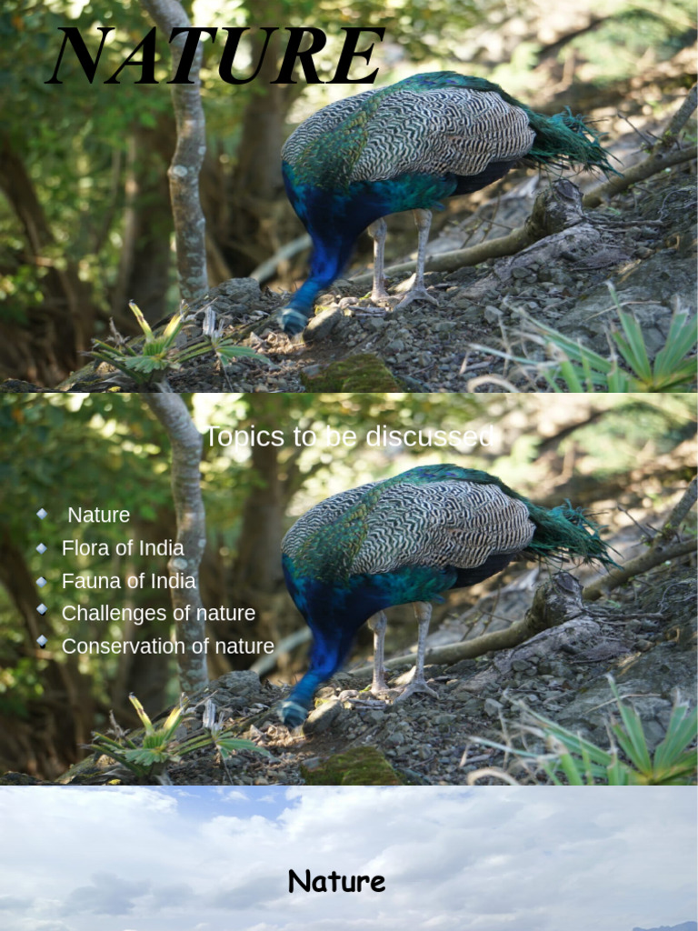 Nature PDF | PDF