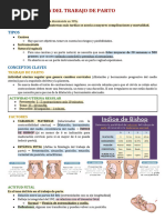 Maniobras en el Parto: Técnicas Clave | PDF | Pelvis | Parto