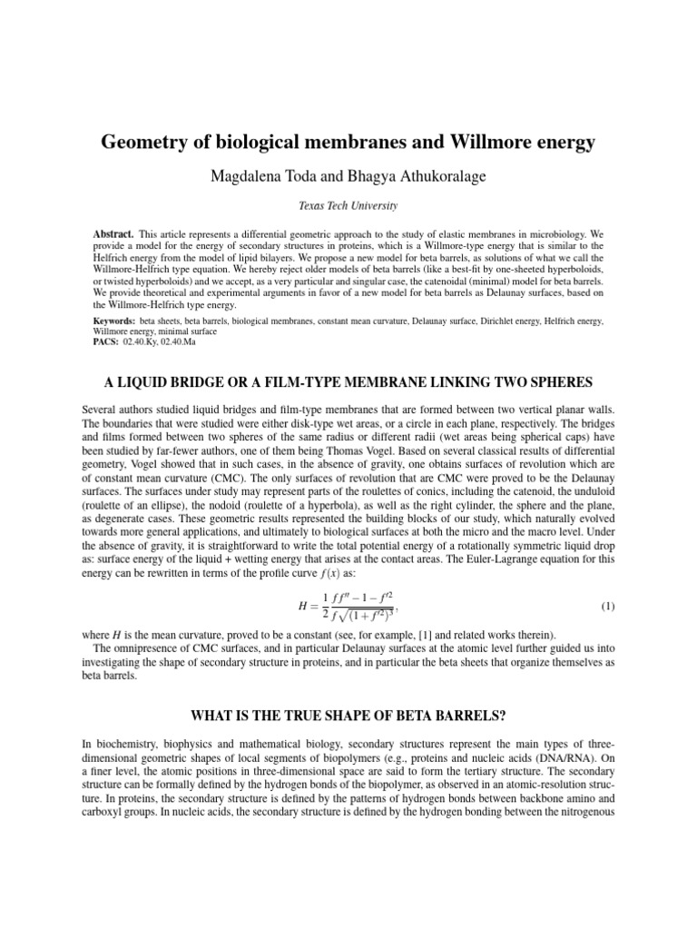Geometry of Biological Membranes and Wil | PDF | Biomolecular Structure ...