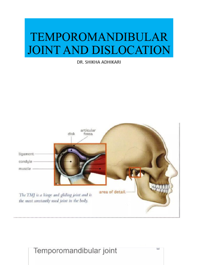 Temporomandibular Joint and Dislocation | PDF | Science & Mathematics