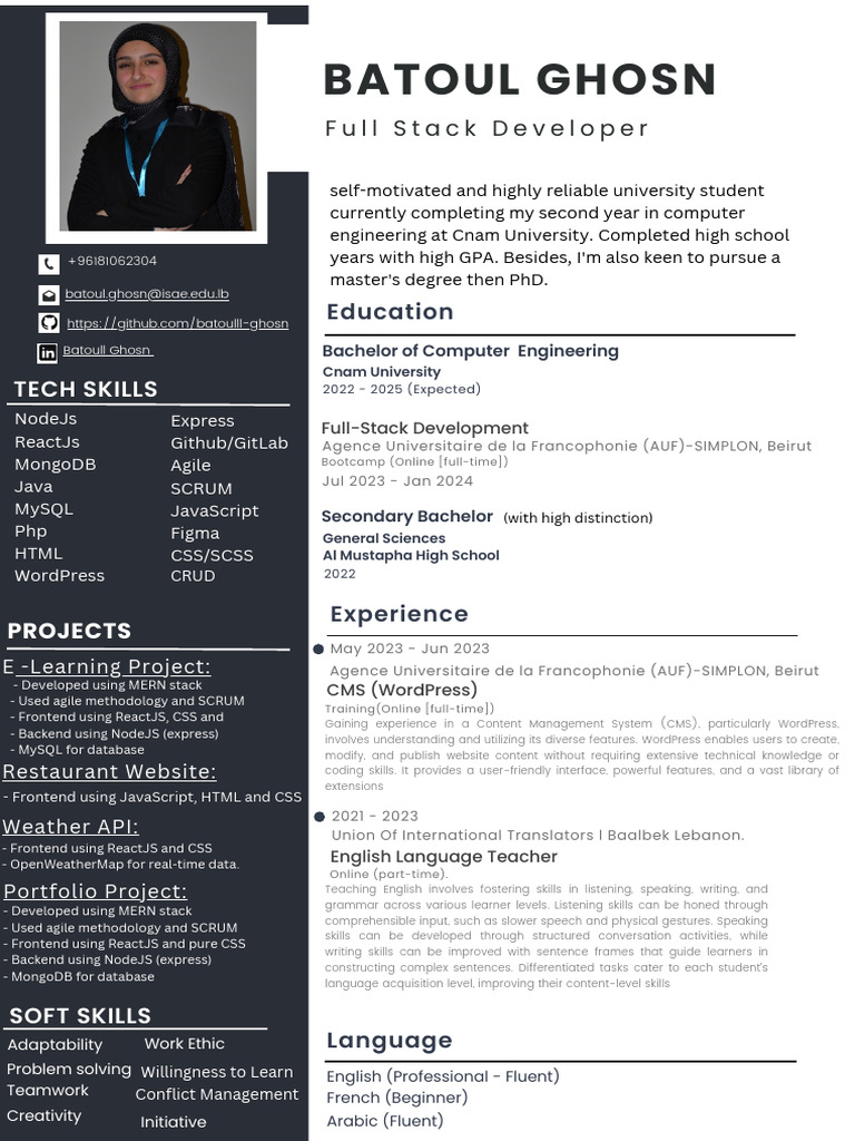 Professional Modern CV Resume 4 | PDF | Word Press | My Sql