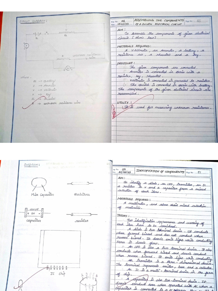 Physics Observation (Activity) | PDF